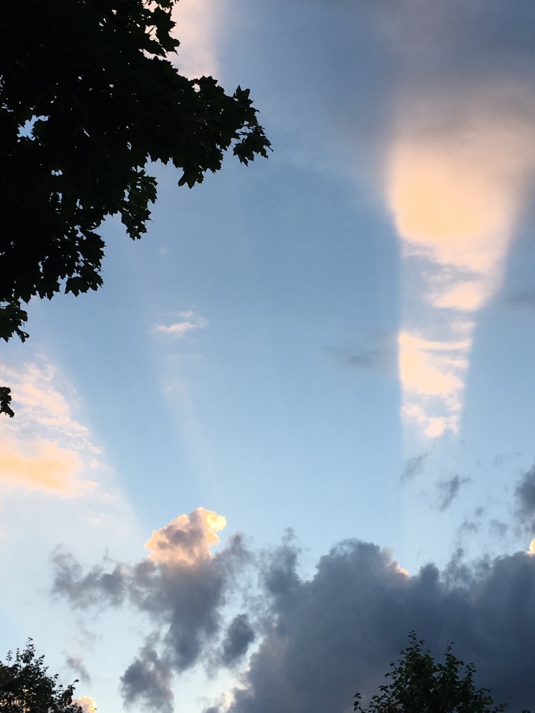 Profanity and the asterisk | Vistas