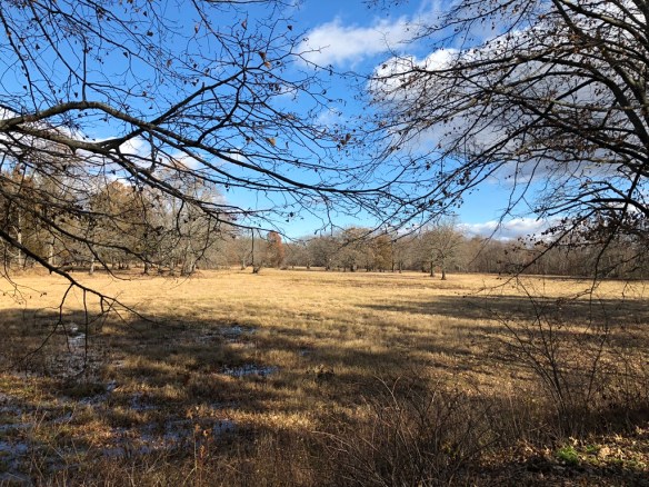 Vistas | Ken Girard, C.S.