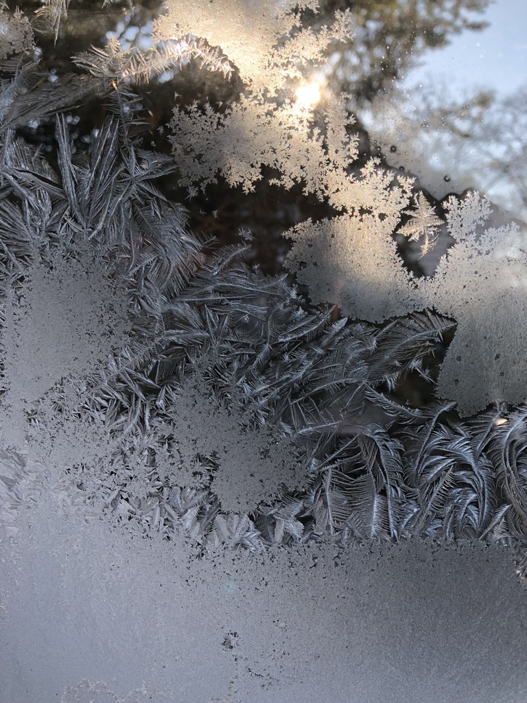 Vistas | Ken Girard, C.S.